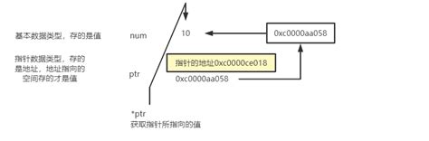 派生 复杂数据类型 指针（pointer） 《golang》 极客文档