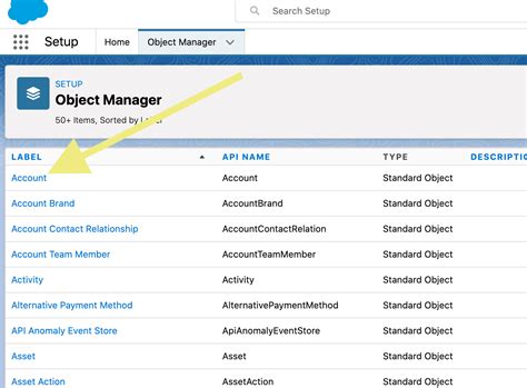 Salesforce Object Manager