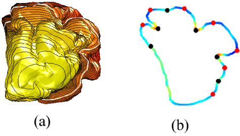 figure 1 from sulcal curve extraction using laplace beltrami eigenfunction level sets semantic