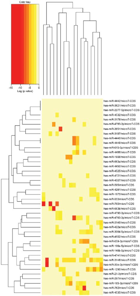 Heat Map And Unsupervised Hierarchical Cluster Analysis Of The