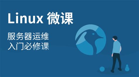 linux 入门课程 编程实战微课 w3cschool