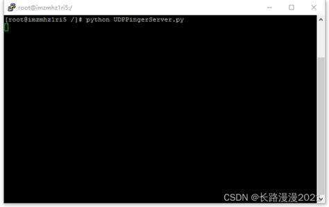 python进阶篇（三） tcp套接字与udp套接字编程 python网络编程之udp套接字编程 csdn博客