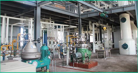 Palm Oil Processing Machine Manufacturer Supply Palm Oil Press Palm