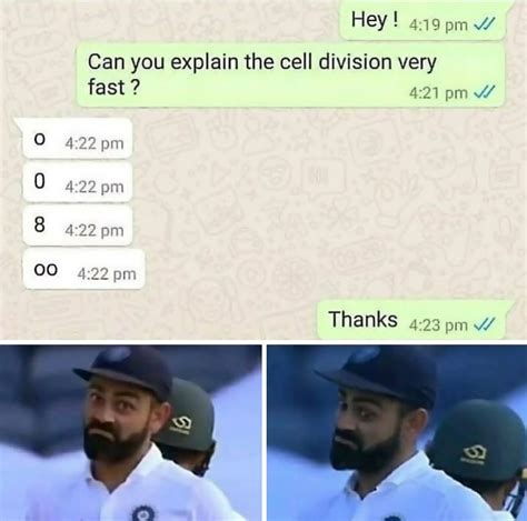 50 Hilarious Science Memes That Prove That Science Can Be Funny As Shared On This Instagram