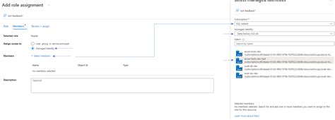 enabling managed identity authentication on azure functions in data factory prodata