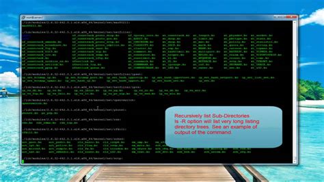 Basic Ls Commands In Linux YouTube
