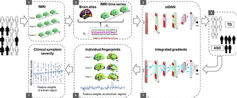 stanford researchers have developed a machine learning based algorithm to detect autism in brain