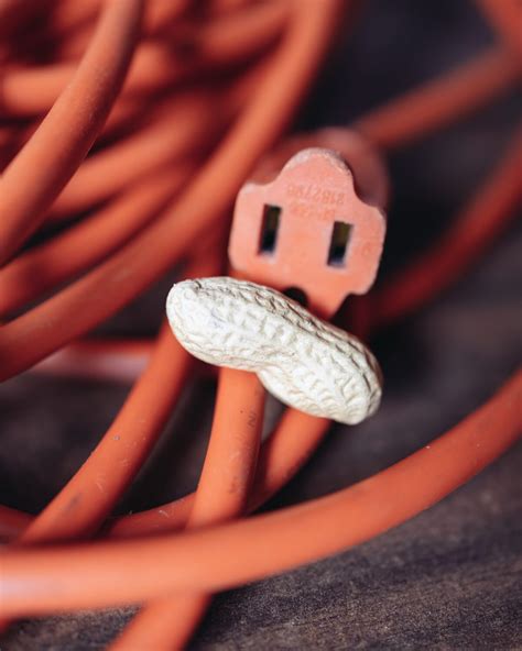 Butt Plug Guide For Beginners What Are They And Why Do People Use Them Swipexcloud