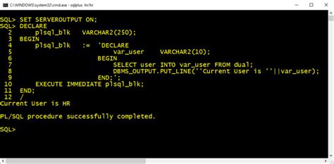 pl sql blocks using execute immediate of dynamic sql in oracle database rebellionrider