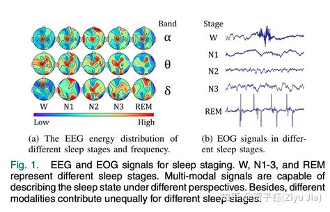 基于squeeze and excitation与领域对抗性学习的多模态睡眠分期模型 知乎