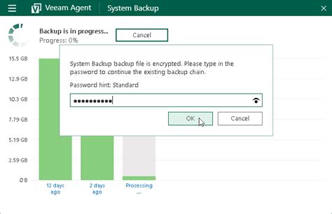 Resuming Encrypted Backup Chain Veeam Agent For Microsoft Windows Guide