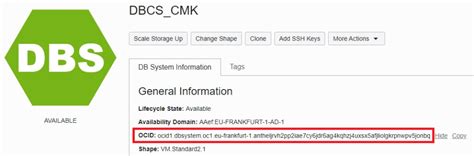 How To Use Customer Managed Tde Encryption Keys On Vm Db Systems In Oracle Cloud Database