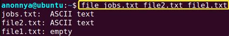 The File Command In Linux 9 Practical Examples LinuxSimply