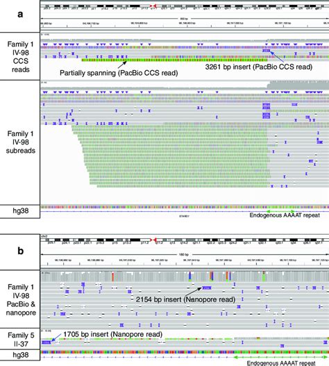 long read sequencing identifies the structure of the aaatg aaaat repeat download scientific
