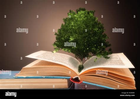 The Concept Of A Book Or A Tree Of Knowledge With Oak Growing Books