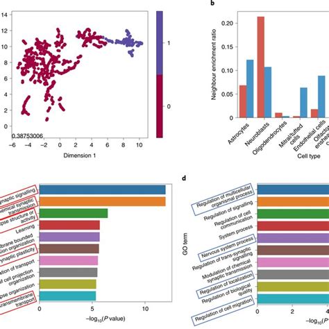 cell clustering for spatial transcriptomics data with graph neural networks request pdf