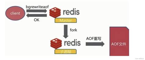 redis高可用之持久化 redis持久化就是不设置ttl吗 csdn博客