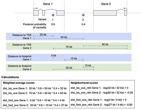 an open approach to systematically prioritize causal variants and genes at all published human