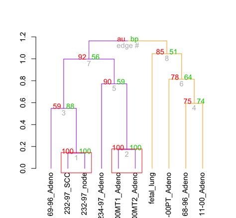 Beautiful Dendrogram Visualizations In R Must Known Methods