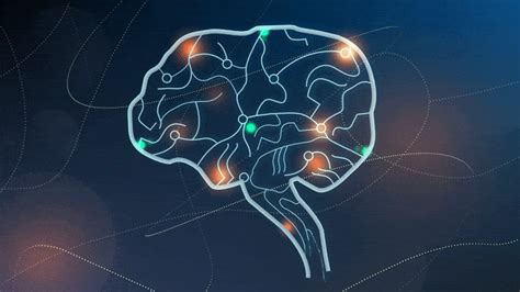 working memory how the brain focuses on what s in mind trendradars