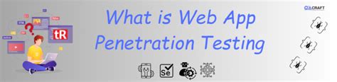 what is web app penetration testing