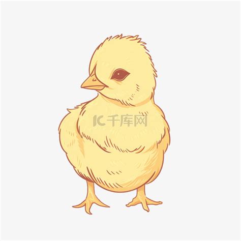 手绘插画风免抠元素小雏鸡素材图片免费下载 千库网