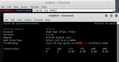 Hack Windows Remotely Over The Internet With Metasploit AnonyViet