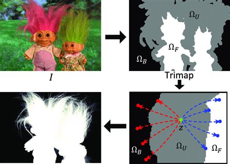 sampling based matting with trimap download scientific diagram