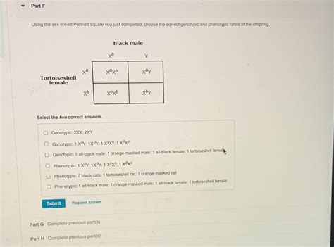 [solved] part f using the sex linked punnett square you just completed course hero