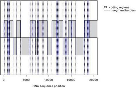 comparison between the known coding regions and the predicted borders download scientific