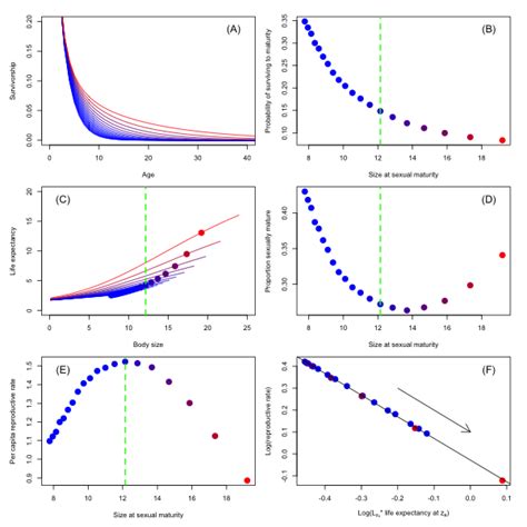 model dynamics for the density dependent reproduction scenario a download scientific diagram