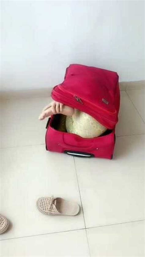 为了生活美女把自己装进行李箱里 腾讯视频