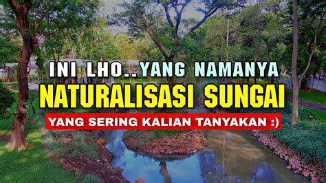 Naturalisasi Atau NormalisasiIni Sungai Naturalisasi Di Jakarta Yang