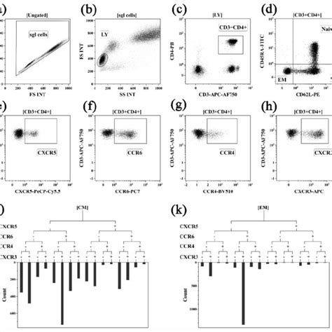 Flow Cytometric Gating Strategy Used To Identify Main Th Cell Subsets