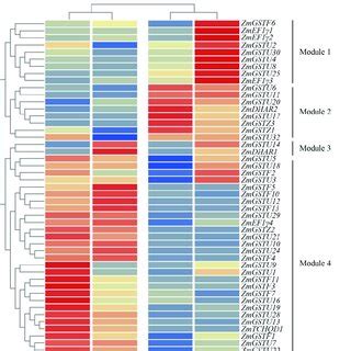 Hierarchical Clustering Of Gene Expression Data Of ZmGST Genes In Zea