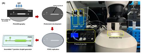 Micromachines Free Full Text The Effect Of Oil Viscosity On Droplet