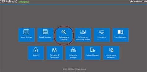 Enabling Detailed Errors With ColdFusion And IIS