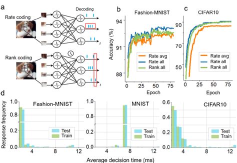 the hybrid plasticity spiking neural network can flexibly support download scientific diagram