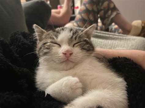Chilled Scrolller