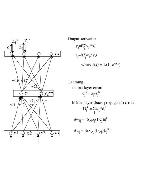 the back propagation learning algorithm download scientific diagram