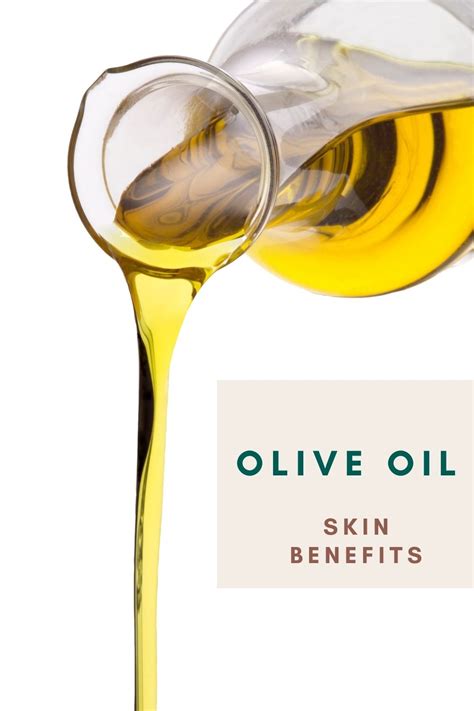 Exploring Whats Inside Olive Oil Latika Beauty