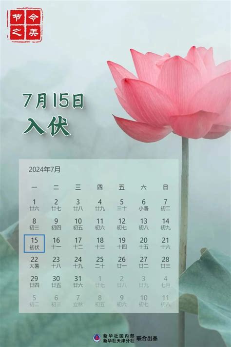 今日入伏三伏为啥有时30天有时40天 健康频道 温州网