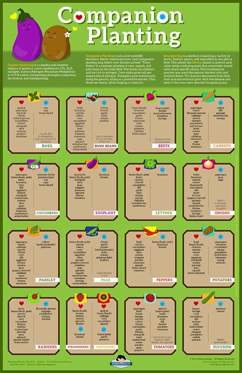 Square Foot Gardening Printable Companion Planting Chart