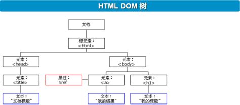 javascript从入门到精通：dom操作 获取元素的方式 知乎