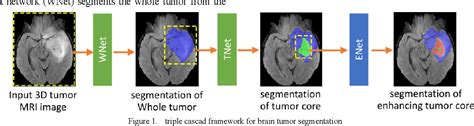 figure 1 from automatic brain tumor segmentation using cascaded fcn with densecrf and k means