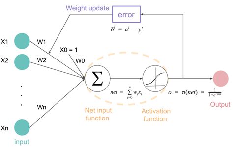 interns explain basic neural network by purit punyawiwat data wow