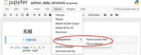 ipynb文件的打开和jupyter conda的python环境切换 导入ipynb文件里的环境 csdn博客