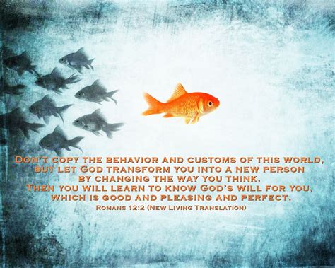 The Living Faithful In Christ Romans Nlt Dont Copy
