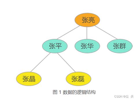 数据结构 概述 数据关系 csdn博客