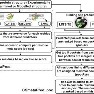Overview Of Methodology Flowchart Showing Important Steps In
